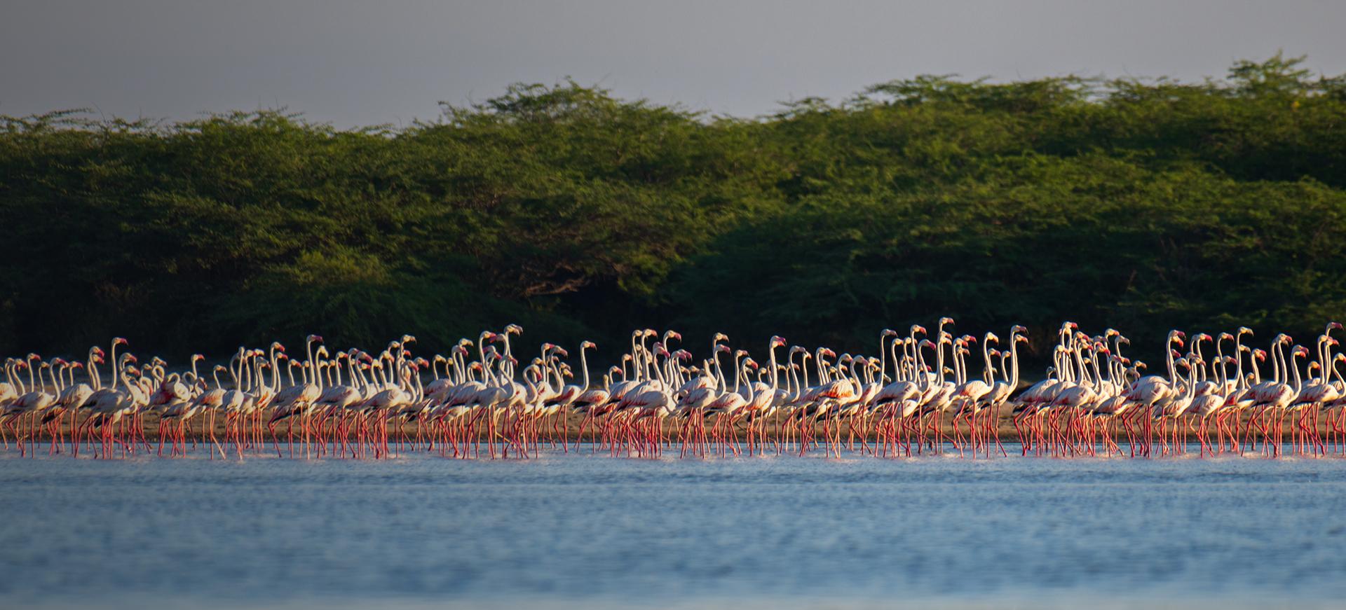 Mannar | City Guide Sri Lanka | Fernando Travels